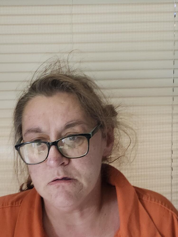 View Roster - Amy R. Clements - Booking #: 250829445 - Putnam County MO ...